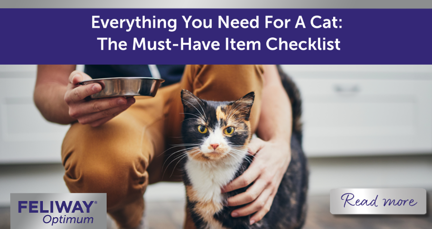 Everything You Need For A Cat: The Must-Have Item Checklist