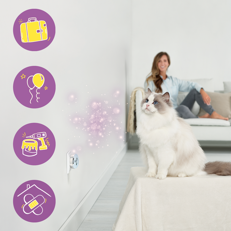 FELIWAY Range – FELIWAY Shop