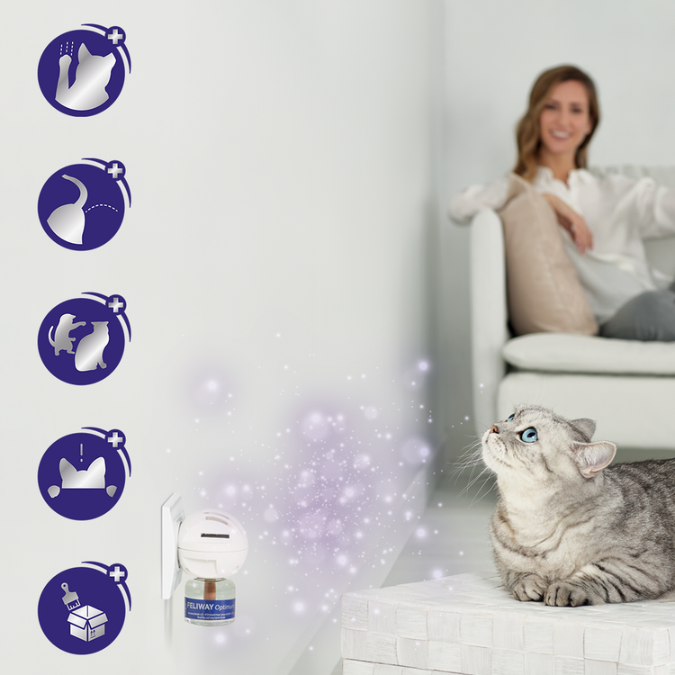 FELIWAY® Range | Cat Pheromone Diffusers and Calming Sprays