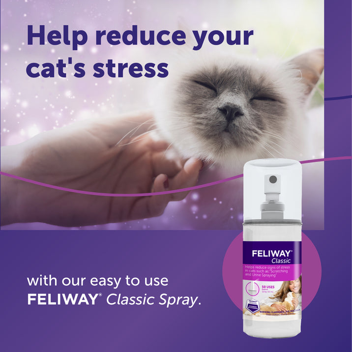FELIWAY® Classic Spray | Calming Pheromone Spray for Cats