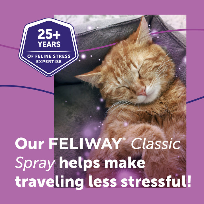 FELIWAY® Classic Spray | Calming Pheromone Spray for Cats