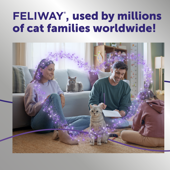 FELIWAY® Optimum Diffuser Kit | Cat Calming Pheromones
