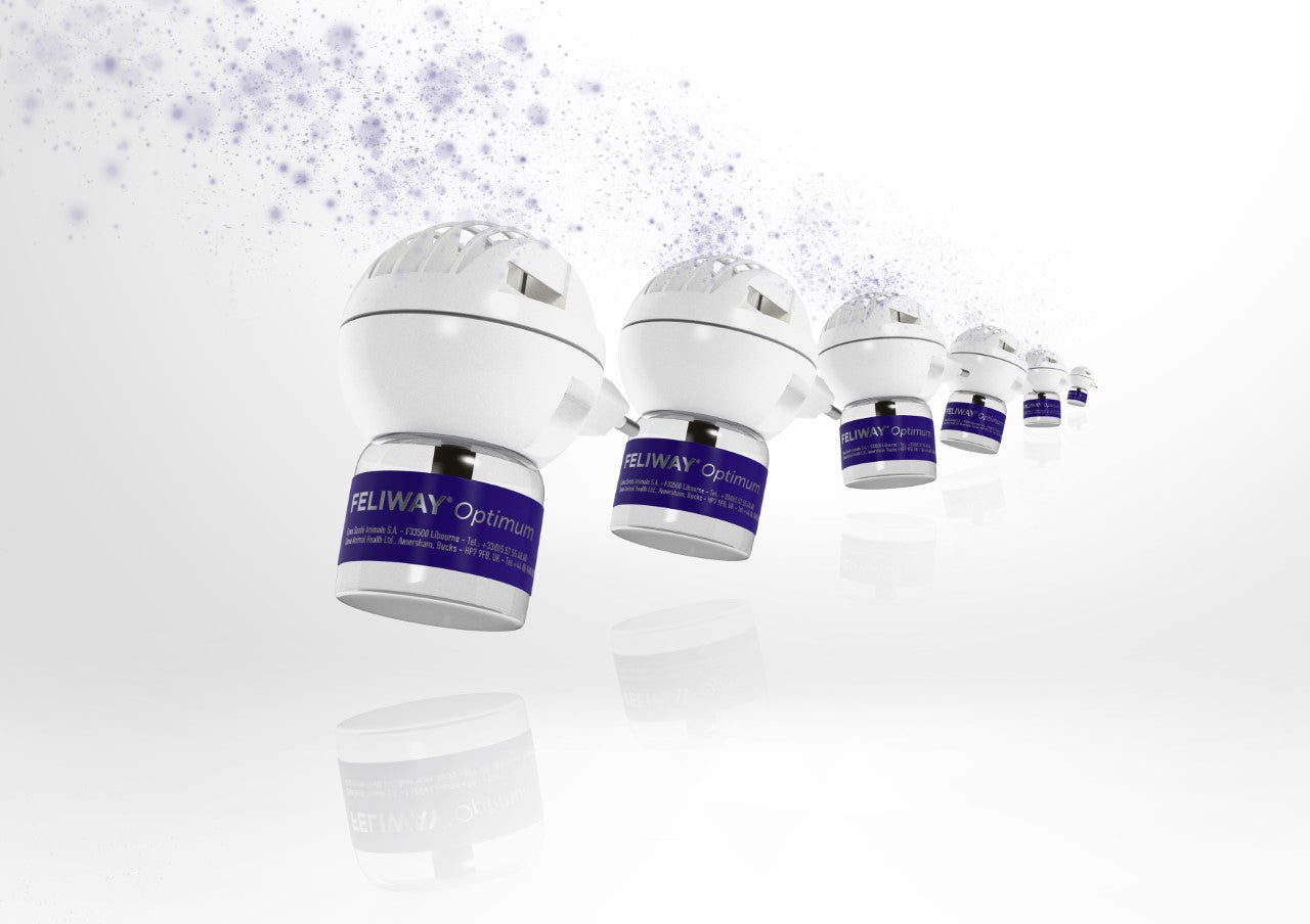 FELIWAY® | Calming Pheromone Diffusers for Cats & Felines