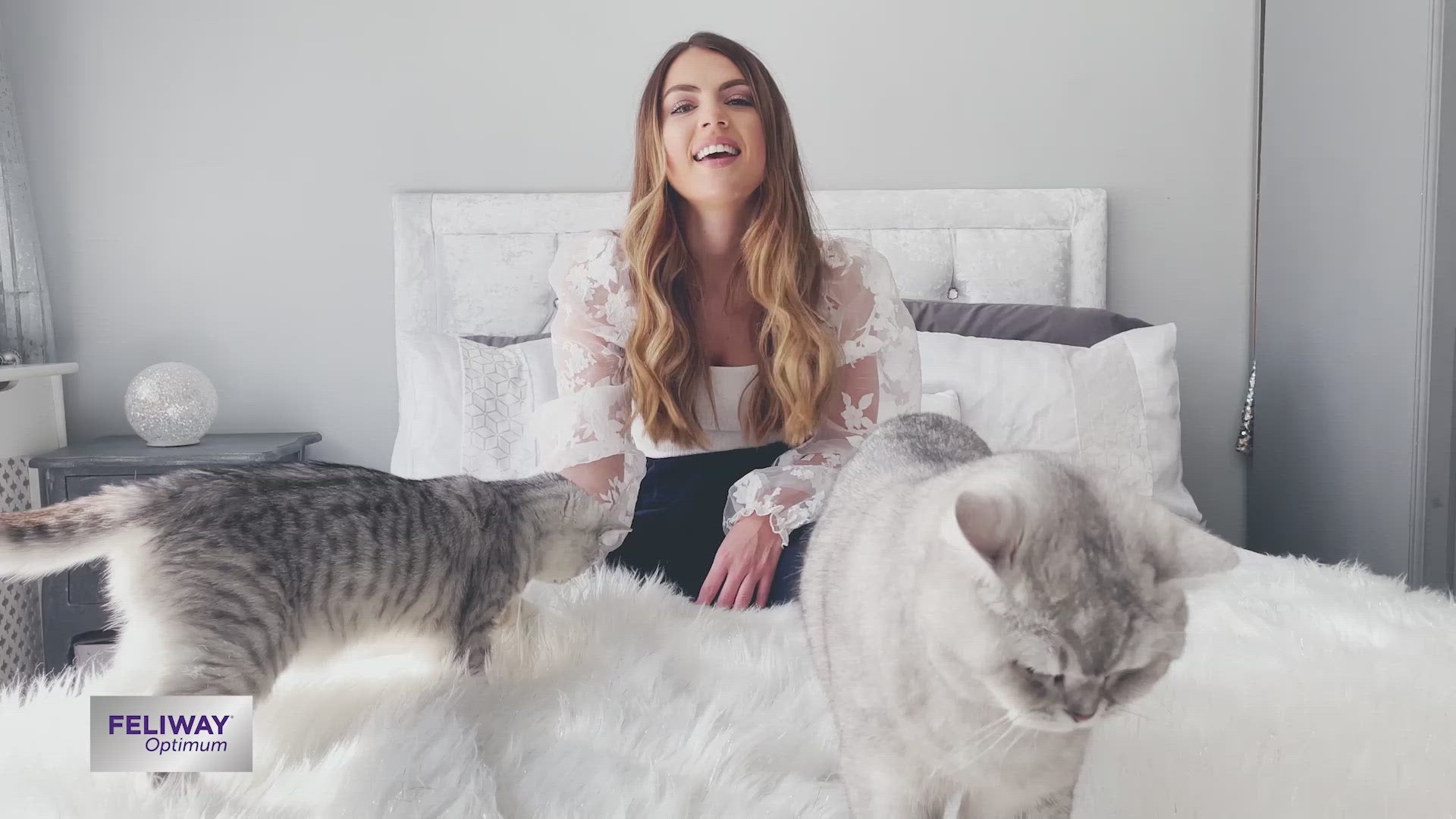 FELIWAY® Optimum Diffuser Kit | Cat Calming Pheromones